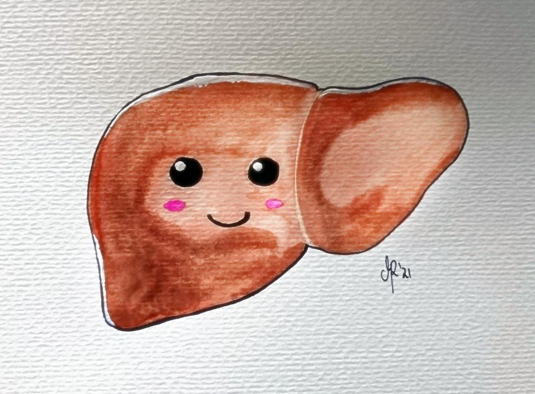 'Fettige Angelegenheiten' Teil V - die Leber - MandysNotizBlog